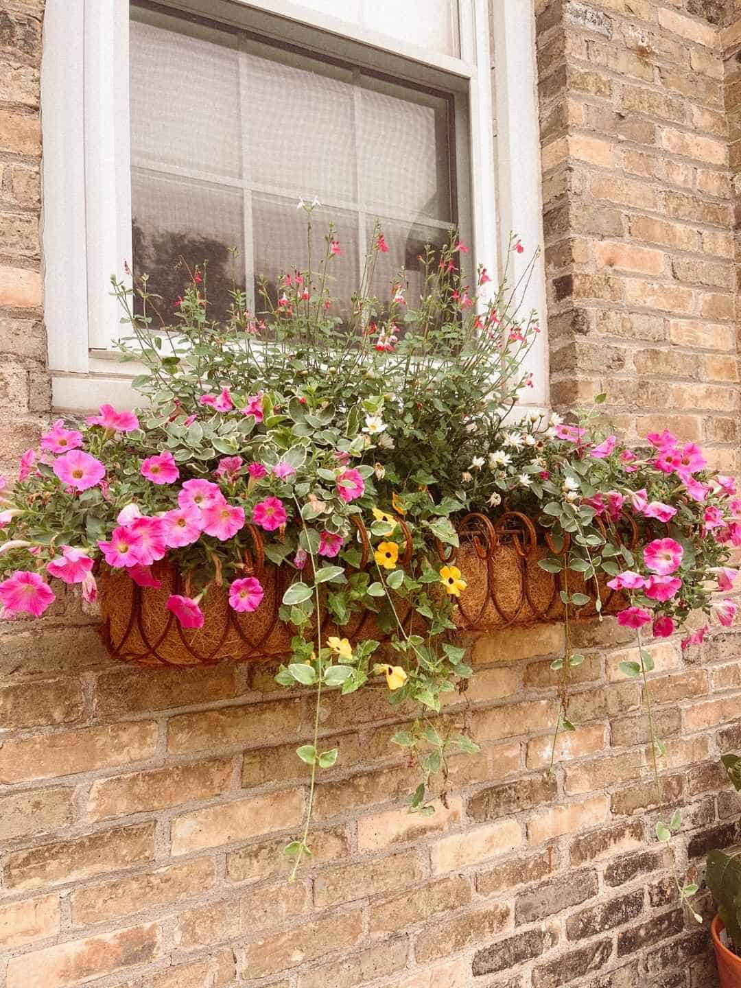 My Secret to the Dreamiest Cottage Style Planter - jenna nicole home